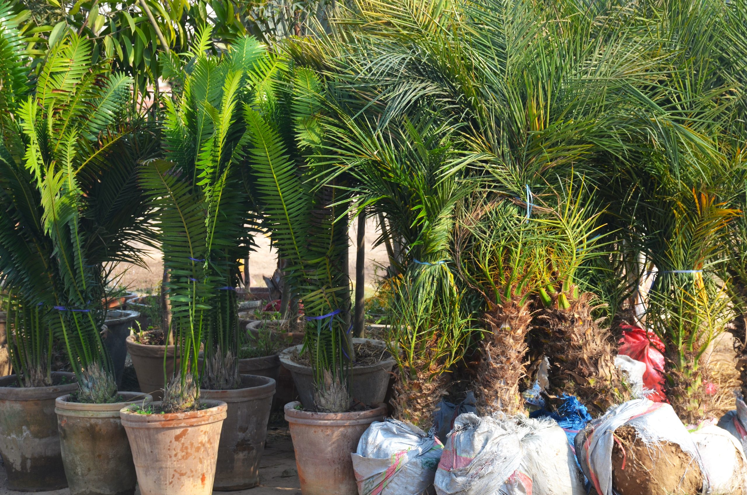 Image Gallery - VIP Town Sheikhupura